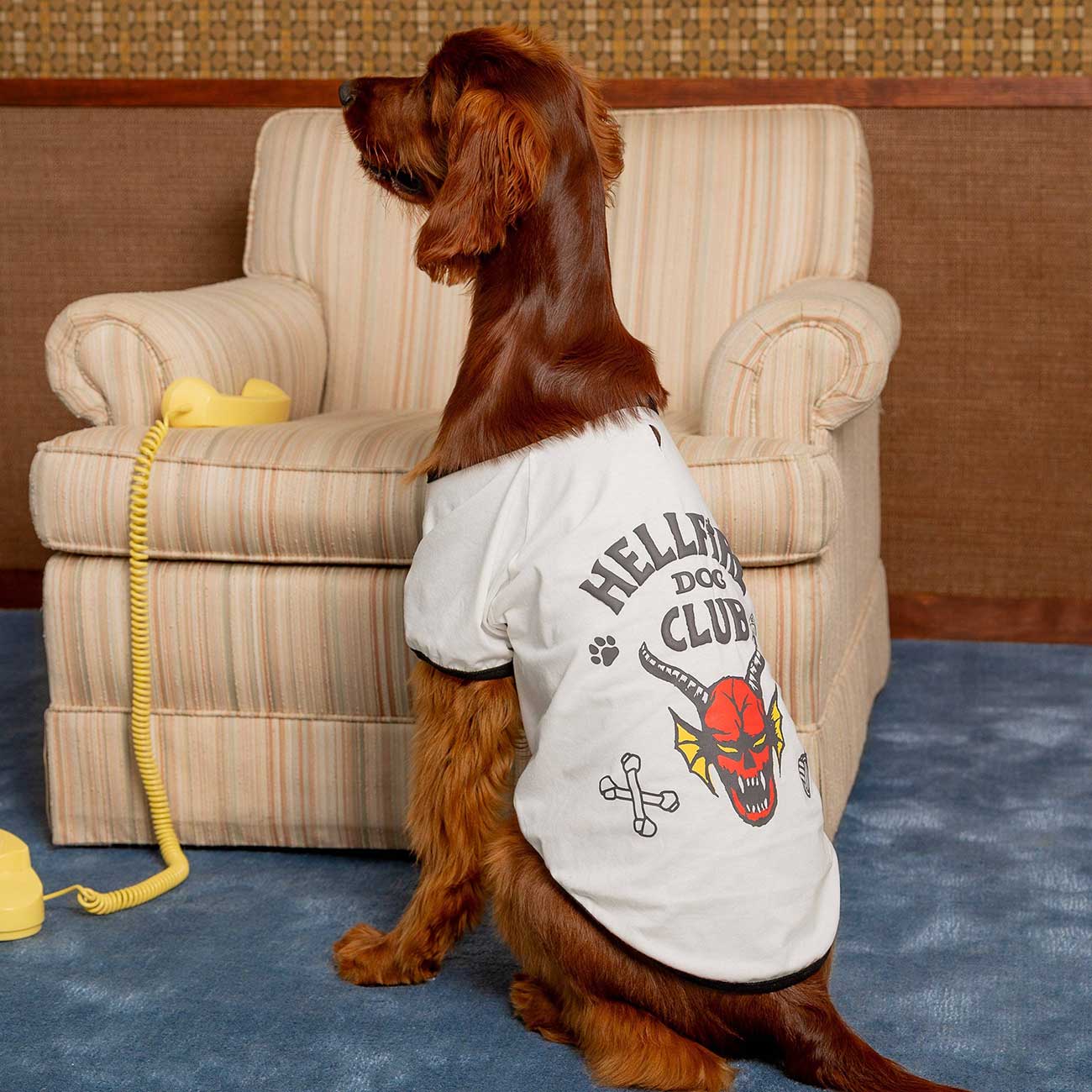 Stranger Things x maxbone Hellfire Dog T-Shirt – Pawty Little Things